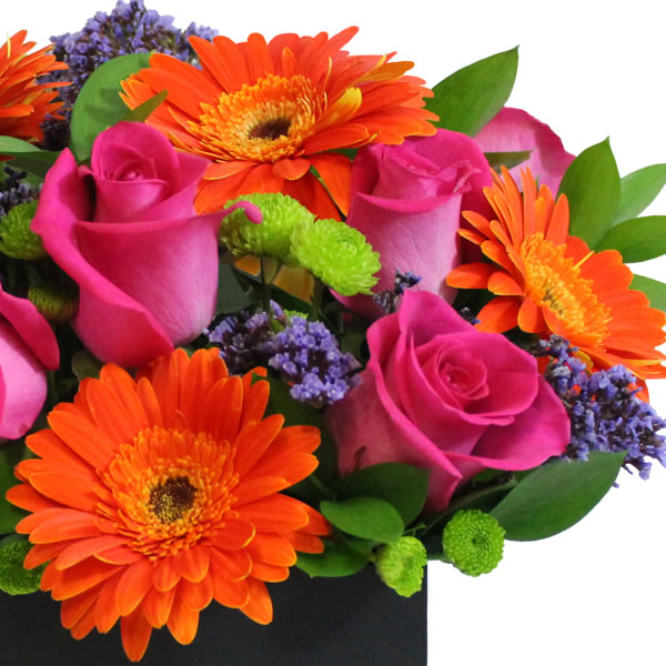 Caja surtida con rosas fiusha y gerberas